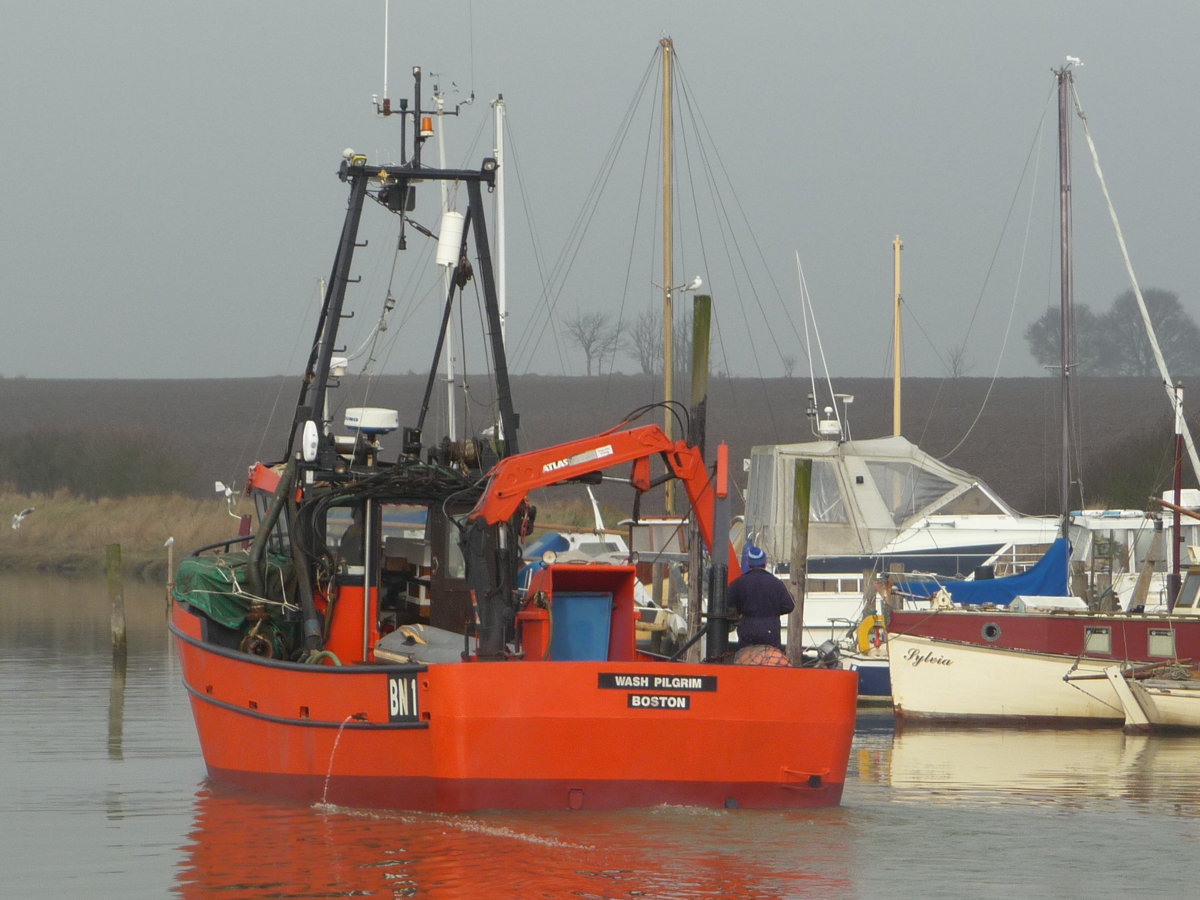 Cockle Fishing Boat The 'Wash Pilgrim' St Osyth Boatyard | SchoonerSail ...