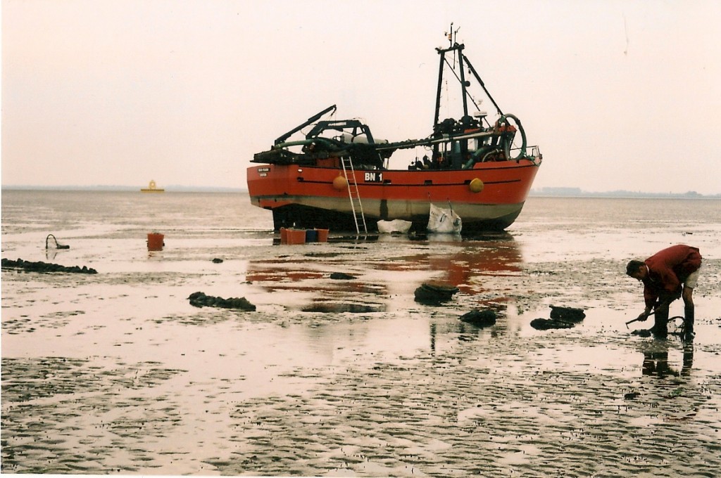 Cockle Fishing Boat The 'Wash Pilgrim' St Osyth Boatyard | SchoonerSail ...